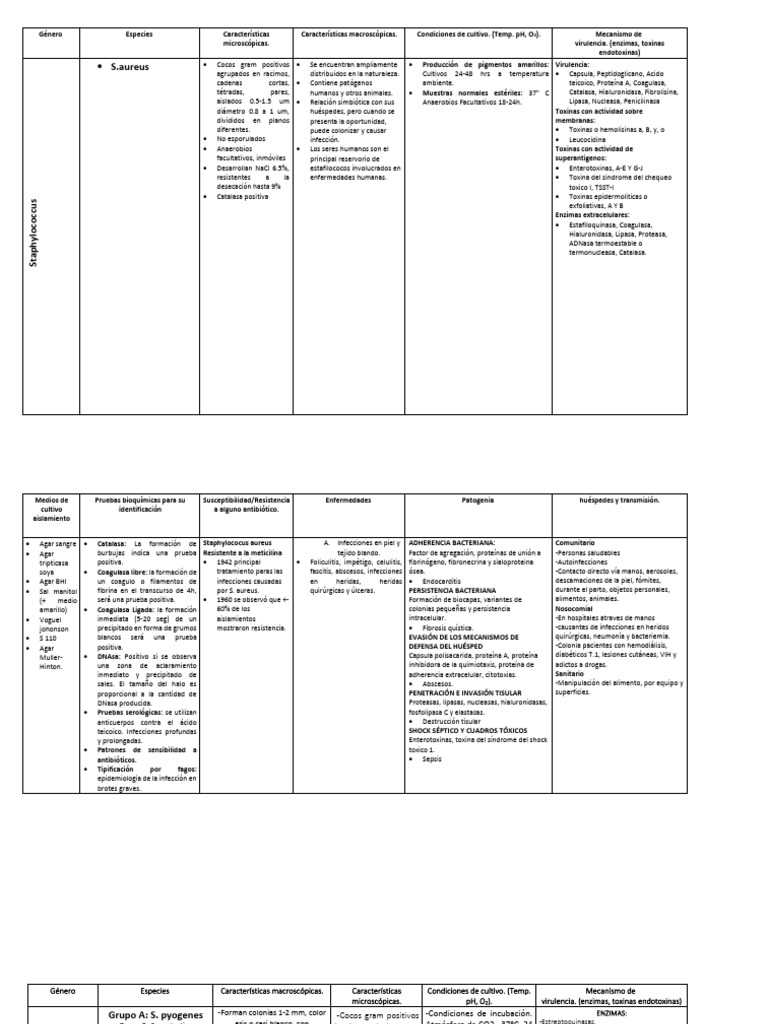 Primer Parcial Analisis Bacter | PDF | Estreptococo | Staphylococcus Aureus