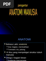 Pembagian Regio Tubuh Manusia | PDF | Kesehatan Holistik | Sains ...