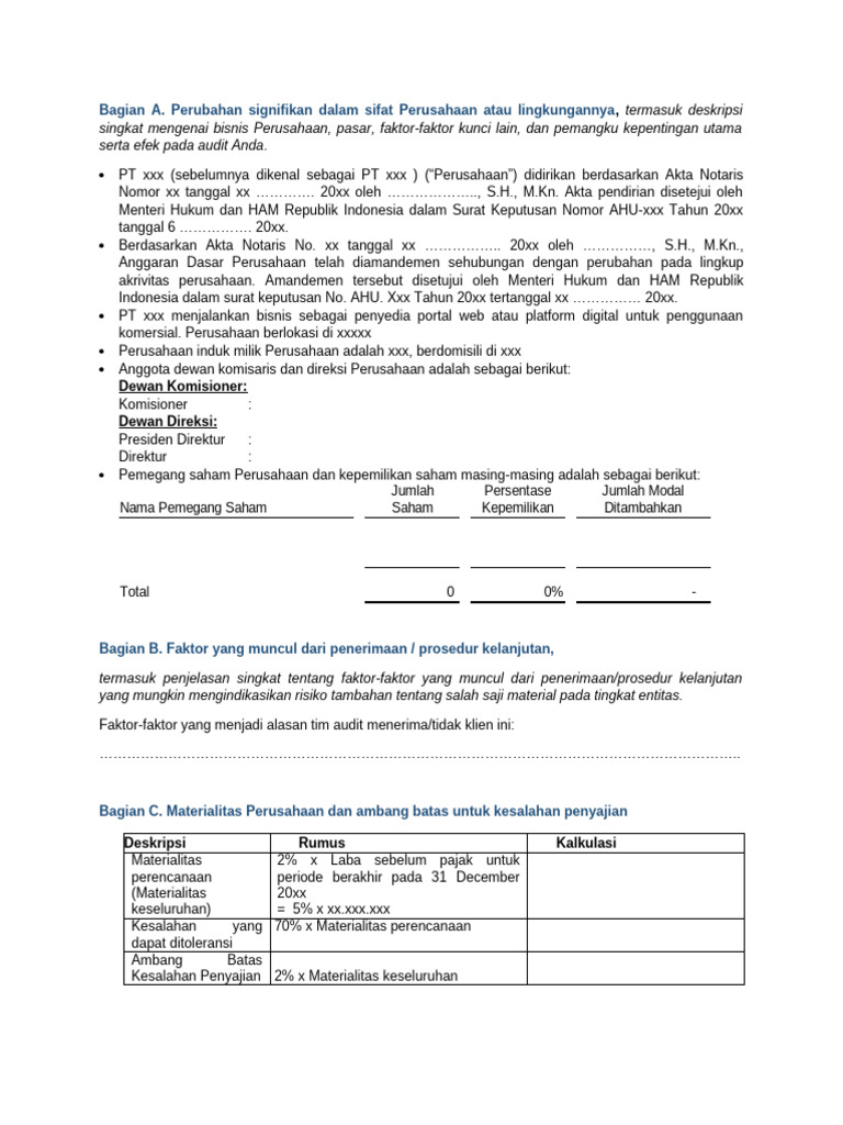 APM - Audit Planning Memorandum 2024 | PDF