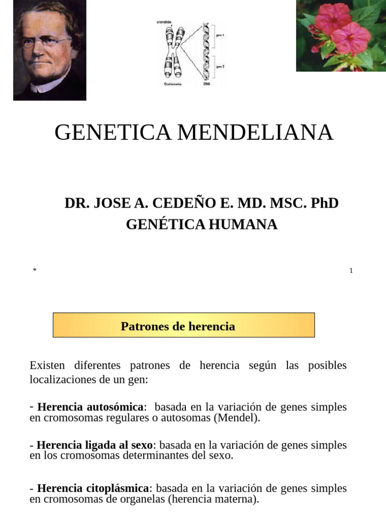 5-Genetica Mendeliana | PDF | Dominancia (Genética) | Alelo