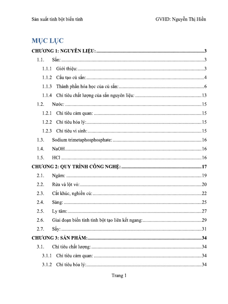 Quy Trình Sản Xuất Tinh Bột Biến Tính | PDF