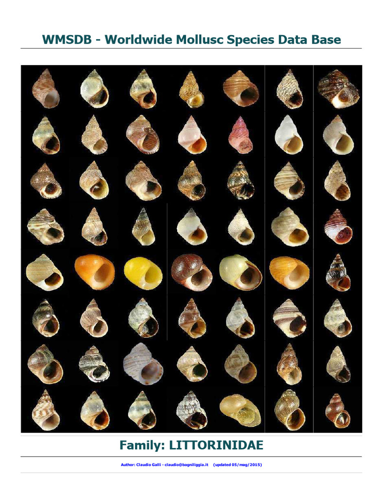 WMSDB Worldwide Mollusc Species Data Bas | PDF