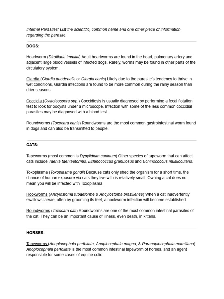Common Internal Parasites in Pets | PDF | Parasitology | Animals And Humans