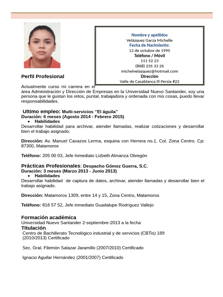 Curriculum Michelle | PDF