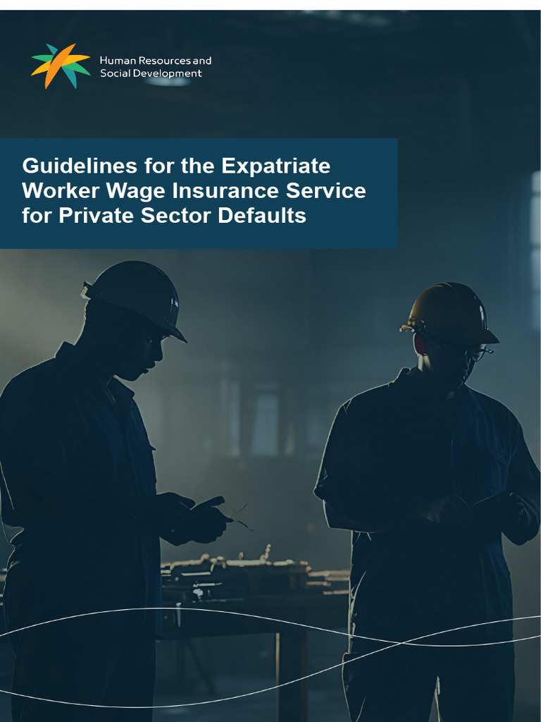 20241006-guideline-en-v2 (1) | PDF | Employment | Insurance