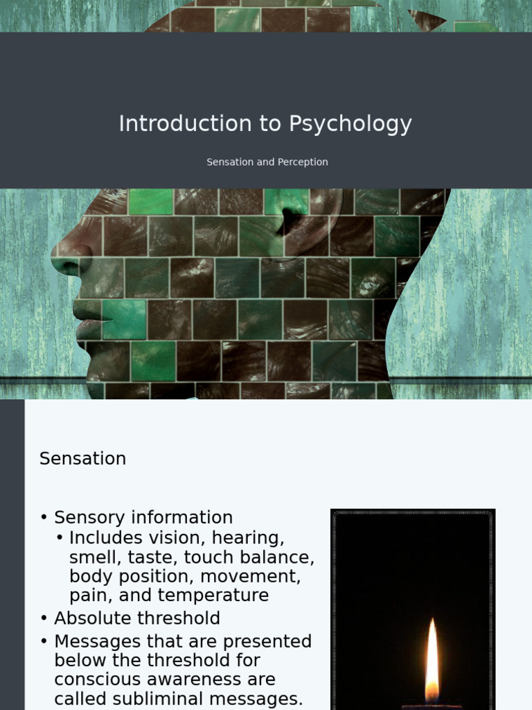 5 SensationandPerception | PDF | Perception | Senses