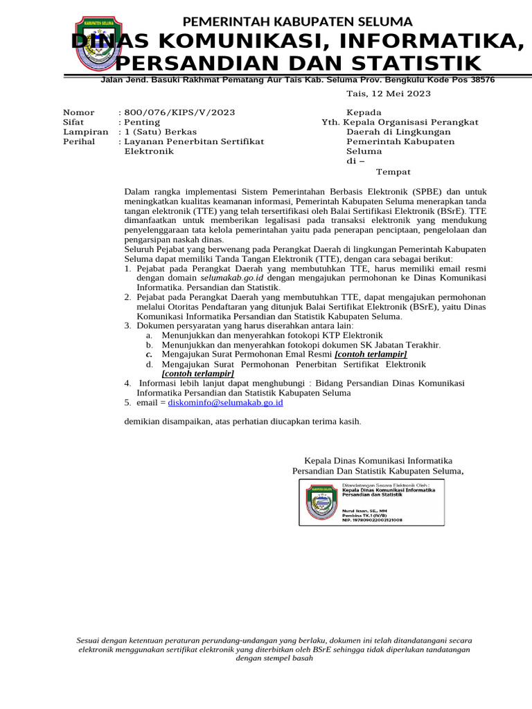 Surat Edaran Pengajuan Tte | PDF