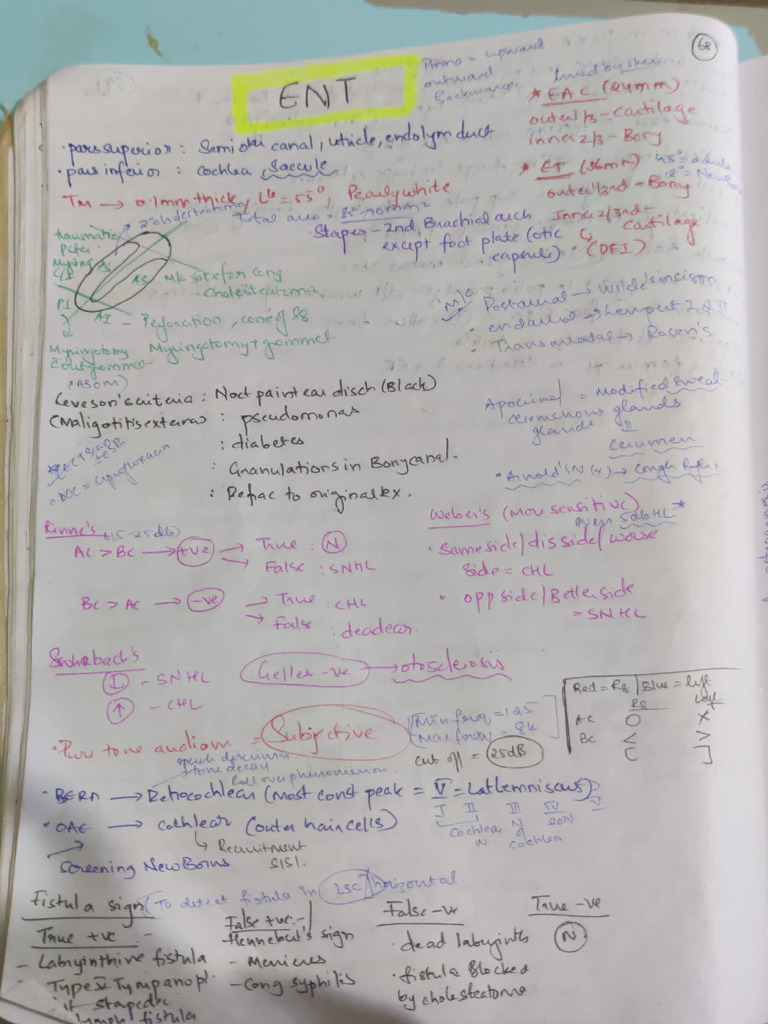 Ent 20th Notebook | PDF