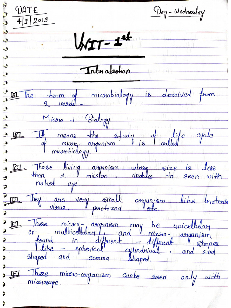 UNIT 1 Handwritten Notes | PDF