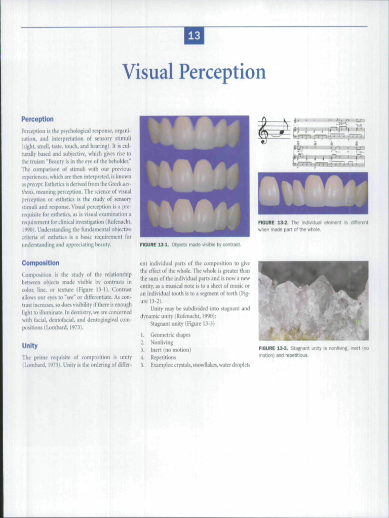 Visual Perception | PDF | Perception | Aesthetics