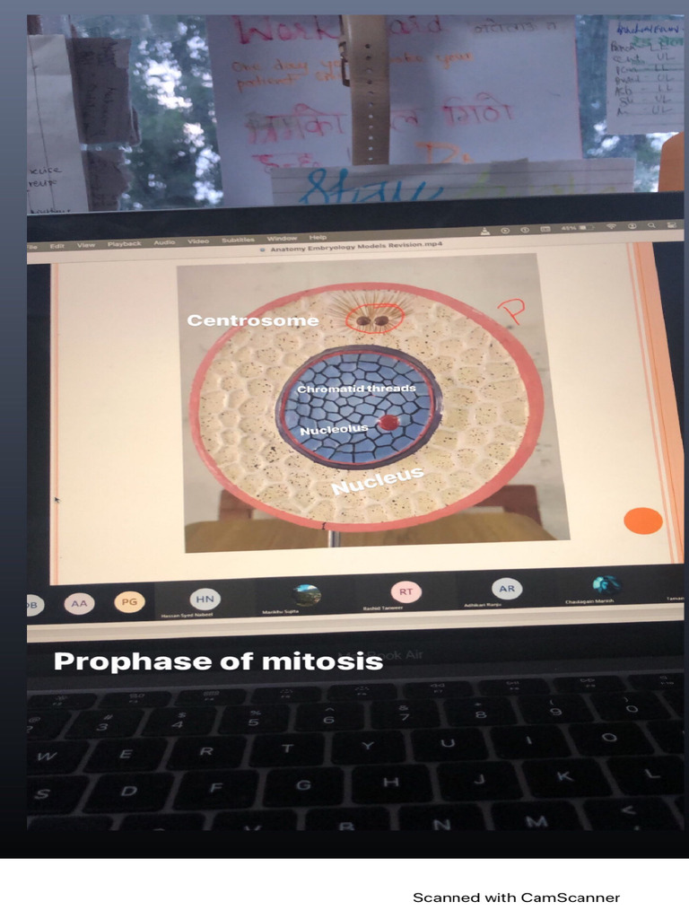 Embryology-Practical Sahil | PDF