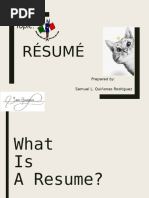Standard Resume Sizes and Formats | PDF | Résumé | Typefaces