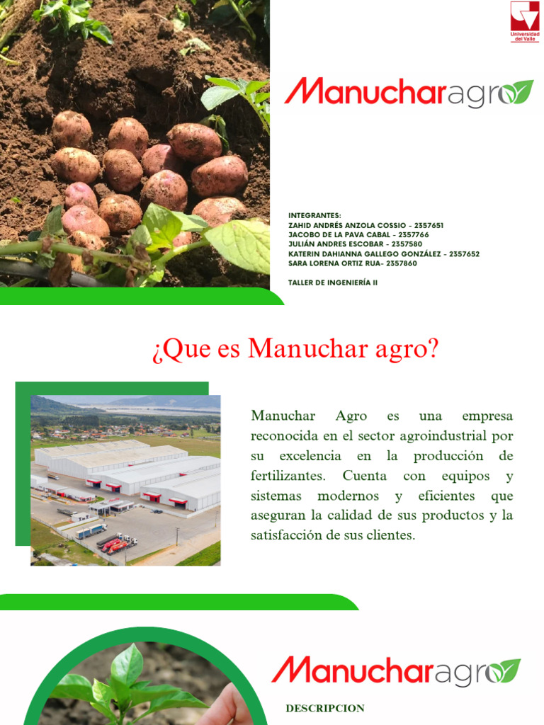 Manuchar Agro - Presentación Taller de Ingenieria 2 | PDF | Fertilizante | Patata
