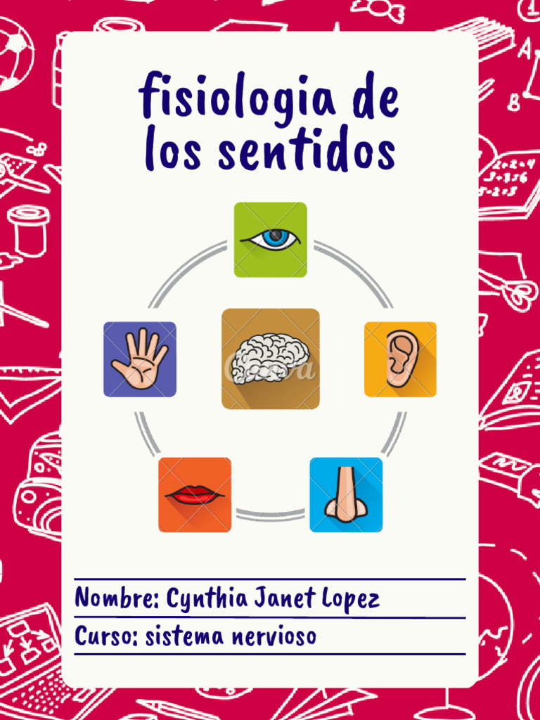 Fisiologia de Los Sentidos | PDF
