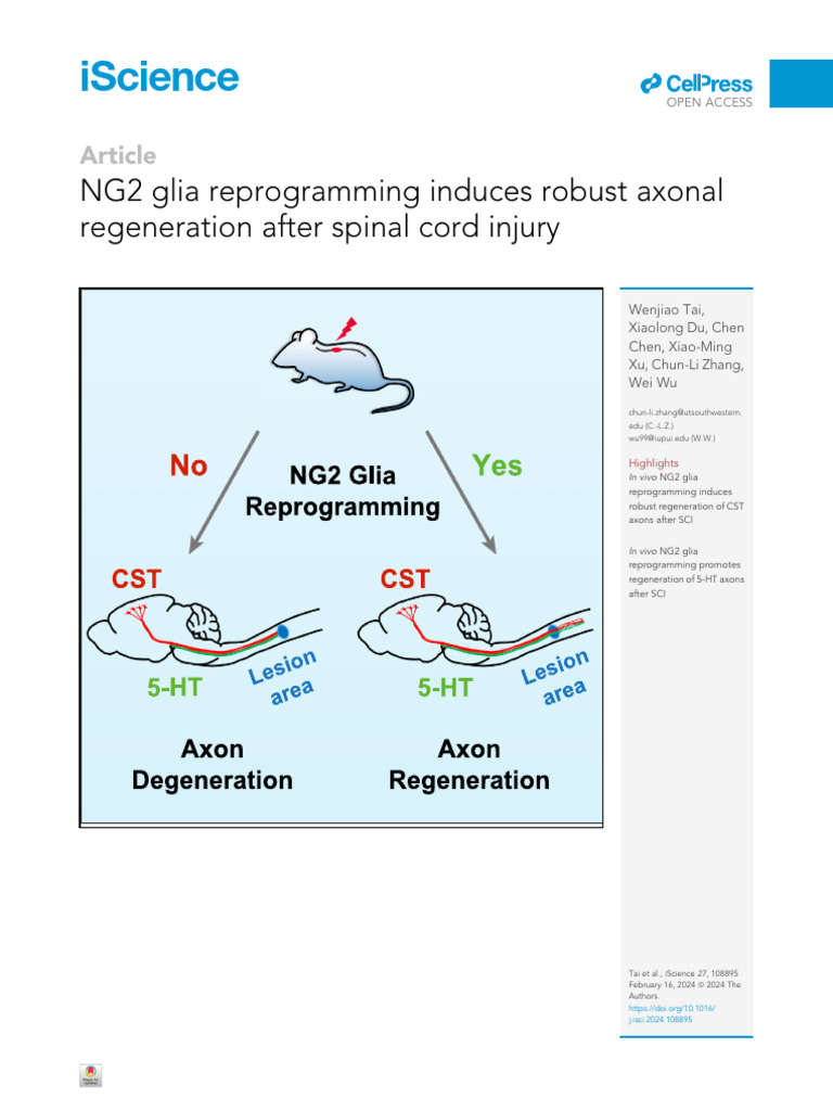 iScience 2024 | PDF | Neuron | Nervous System