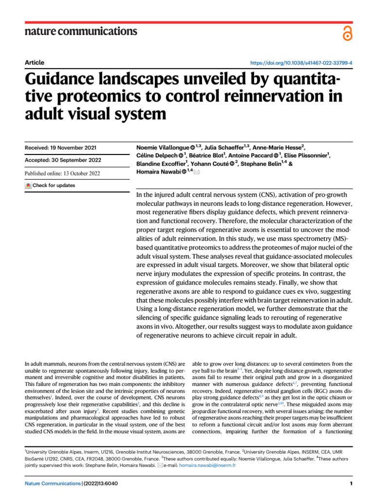 Nature Communication 2021 | PDF | Axon | Brain