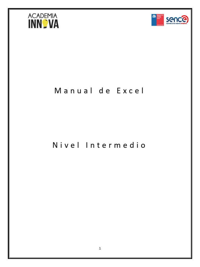 Manual Excel Intermedio | PDF | Hoja de cálculo | Microsoft Excel