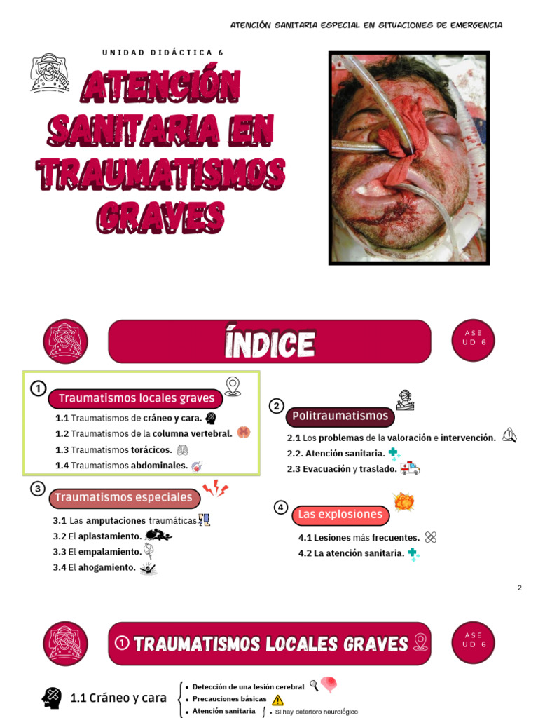 Atención Sanitaria en Traumatismos Graves | PDF | Lesión cerebral ...