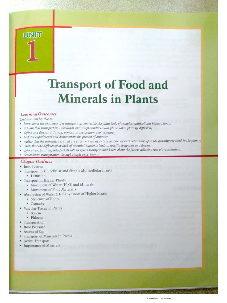 Class 8 Biology Ch 12 Min | PDF