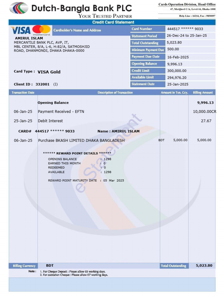 Amirul's Credit Card Statement | PDF