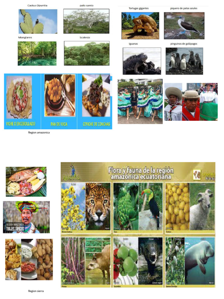 Pais Imagenes Natha | PDF