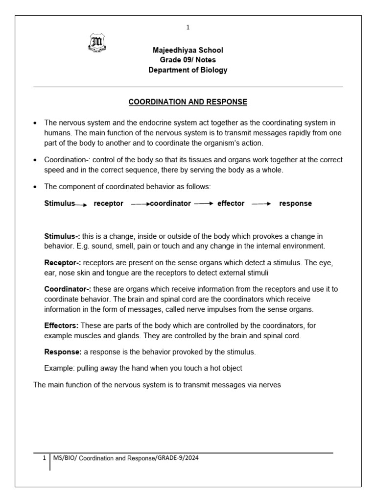 Grade 9 Biology: Nervous System Overview | PDF | Neuron | Pancreas