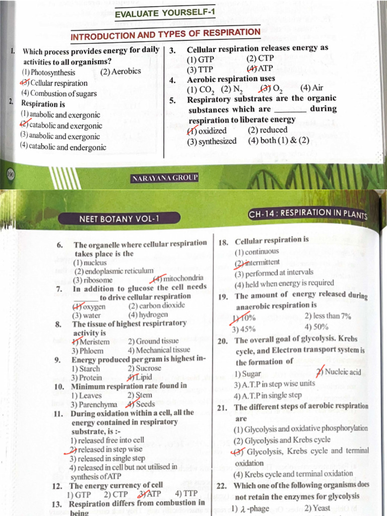 Respiration in Plants Upto Krebs Cycle | PDF