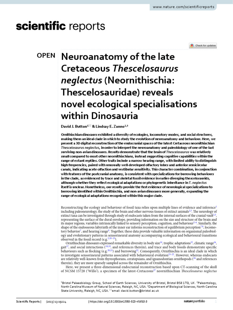 Neuroanatomia Do Cretáceo Tardio Thescelosaurus Neglectus ...