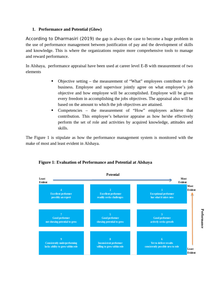 Performance and Potential | PDF | Performance Appraisal | Industrial ...