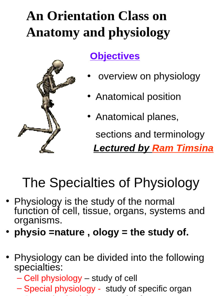 An Orientation Class (Lecture I) | PDF | Anatomical Terms Of Motion ...