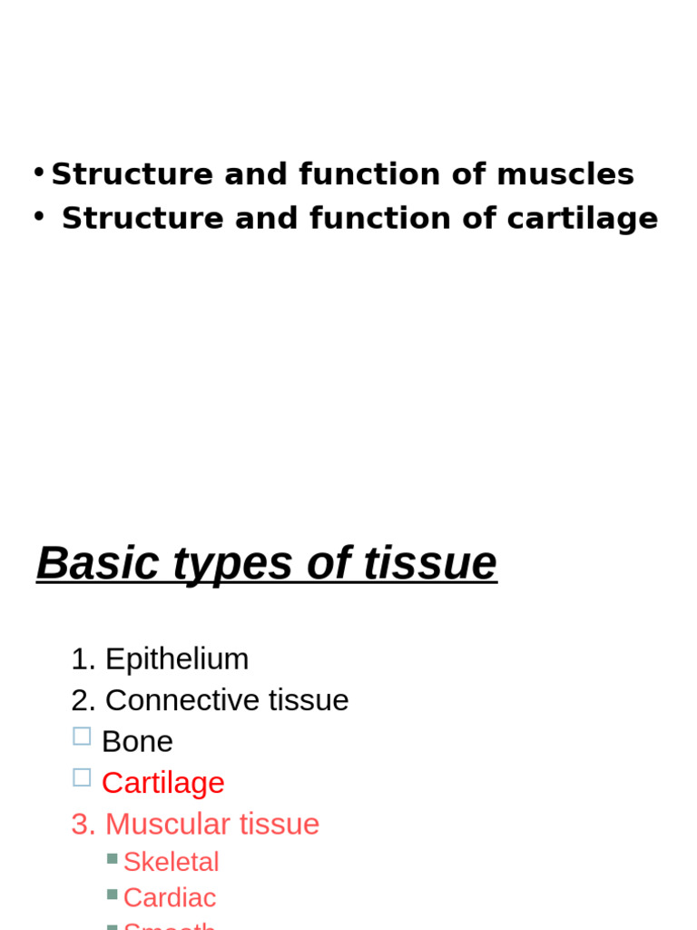 Bone, Cartilage & Muscle | PDF | Bone | Skeletal Muscle