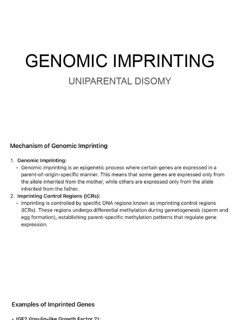 Uniparental Disomy and Genomic Imprinting | PDF