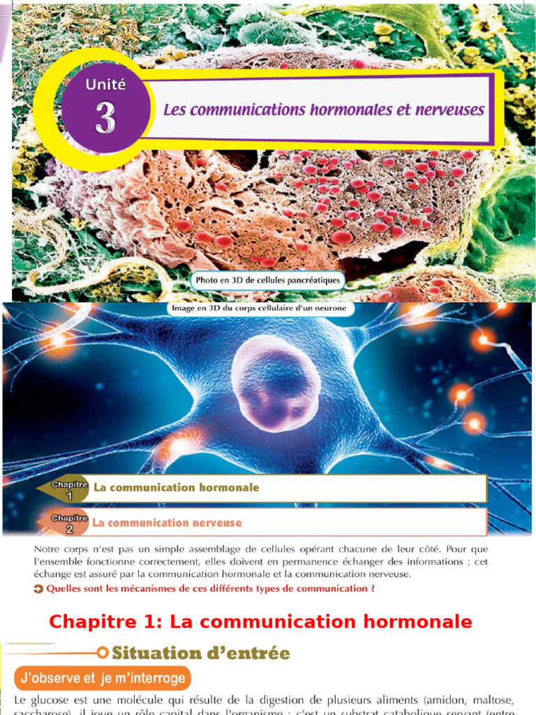 Communication hormonale et glycémie | PDF | Pancréas | Insuline