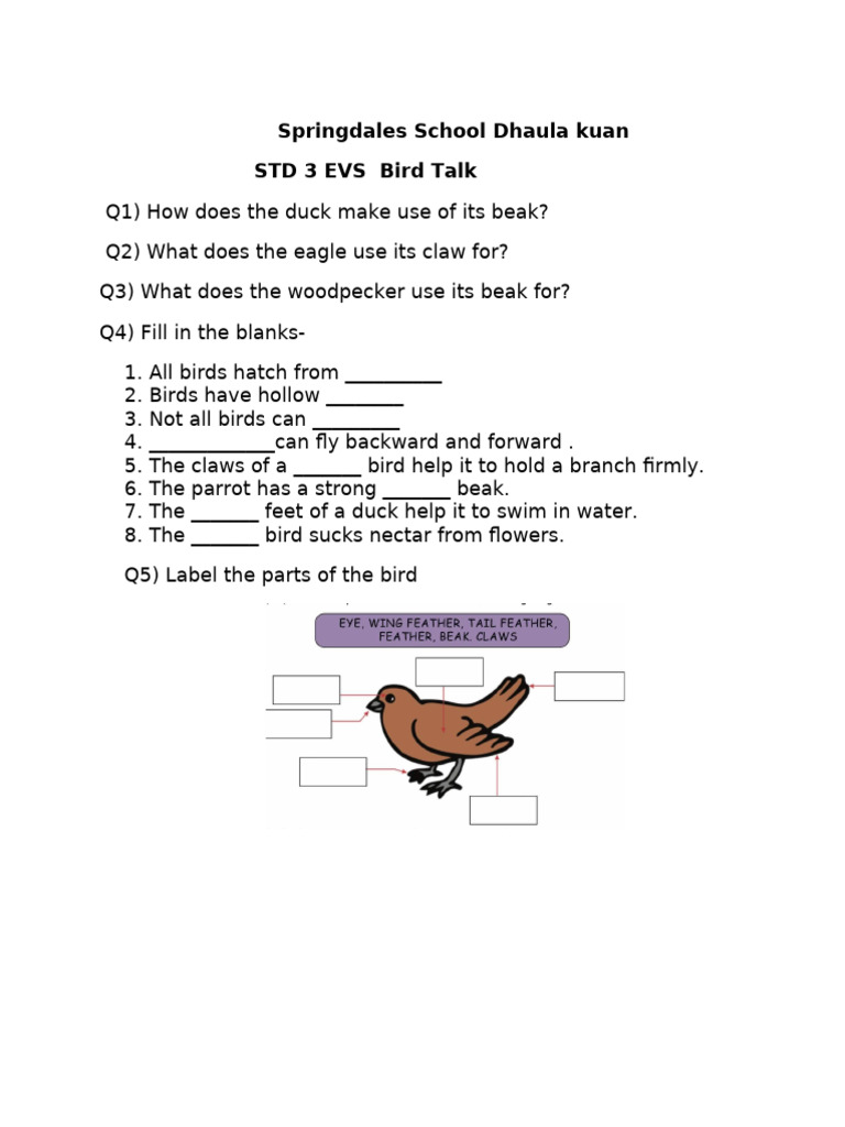 Bird Talk worksheet | PDF