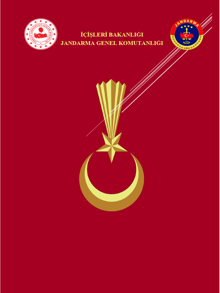 2025 Performans Programi | PDF