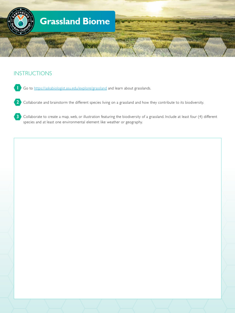 Grassland Biome | PDF
