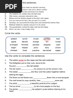 Nso Class 4 Sample Paper 2025 26 Pdf Digestion Gastrointestinal Tract