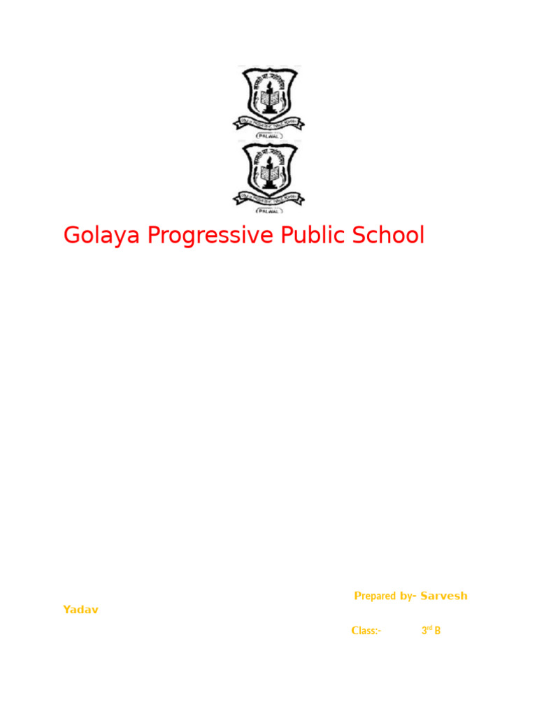 Golaya School Plastic Impact Report | PDF