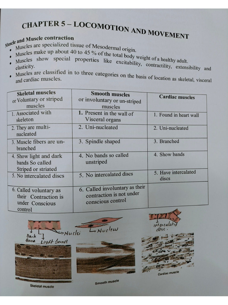 Locomotion and Movement | PDF