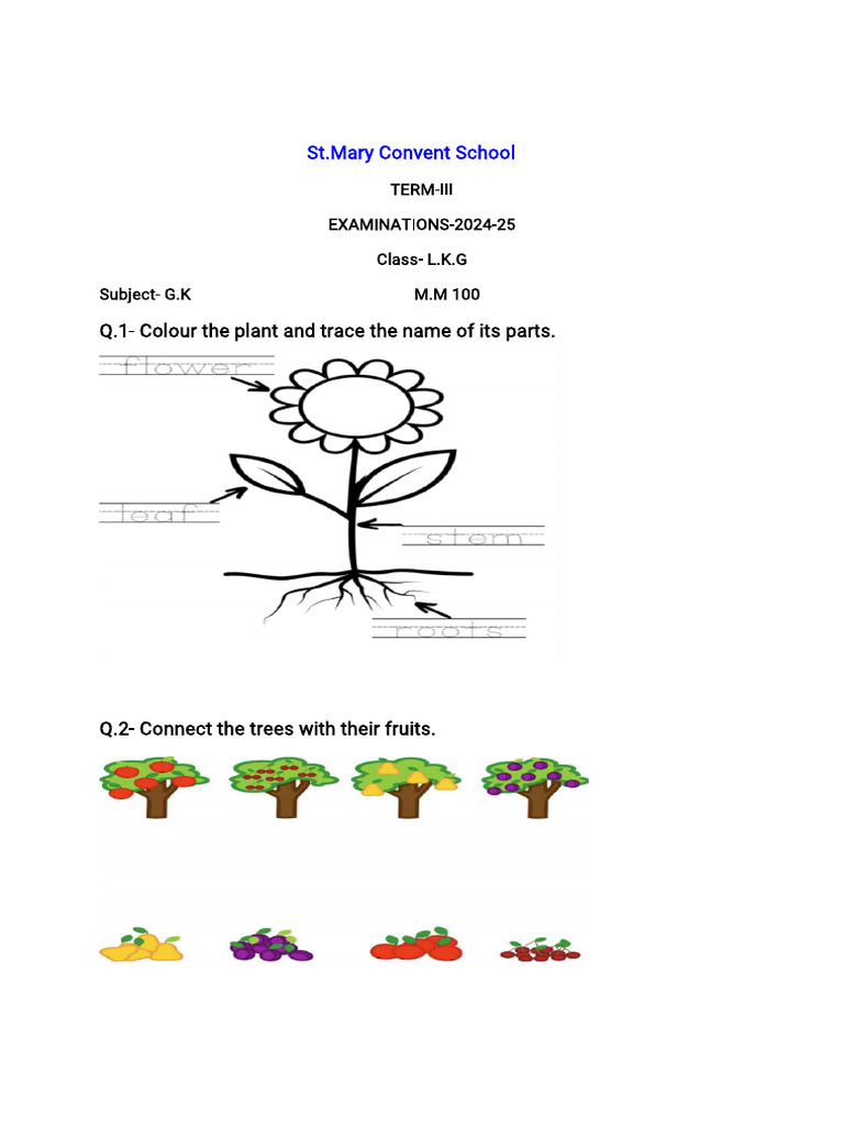 GK LKG Exam Paper | PDF