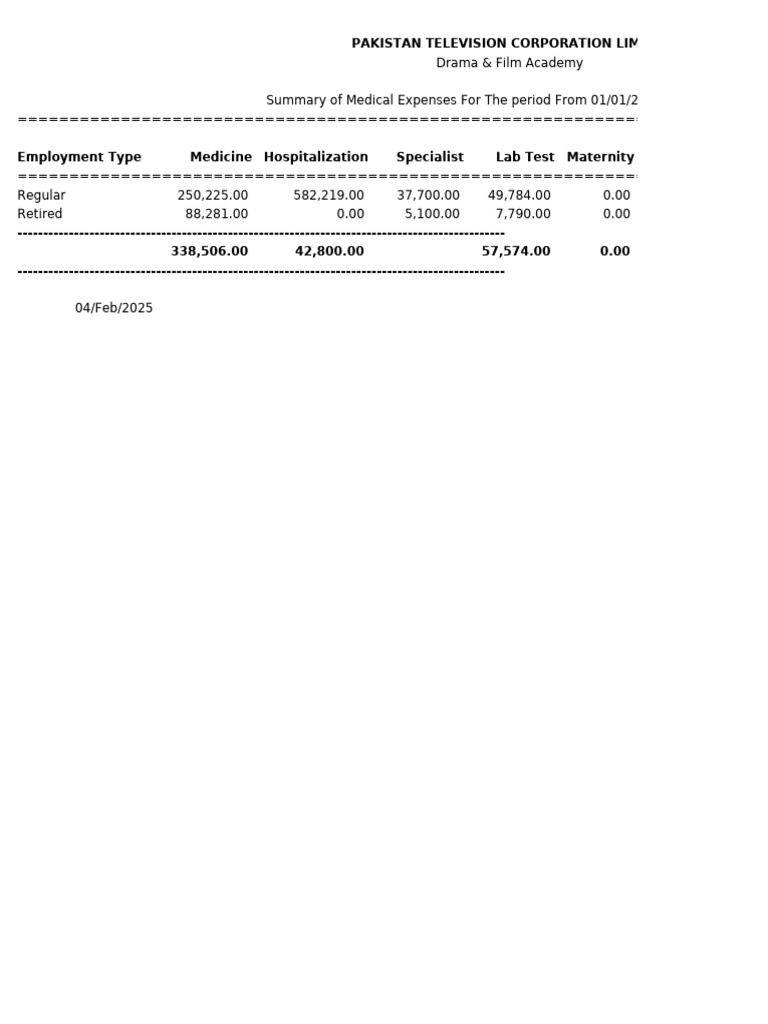 Medical Expenses Summary 2025 | PDF