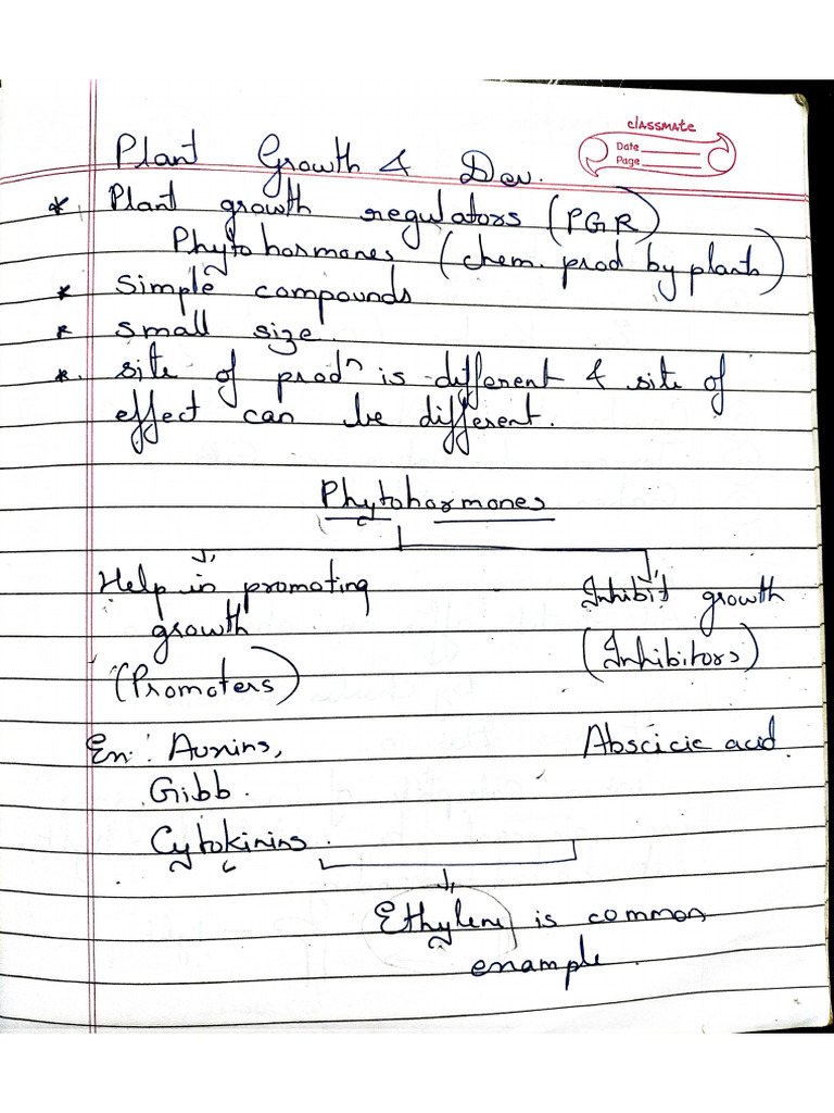 Plant Growth and Development Class Notes PDF Biology | PDF