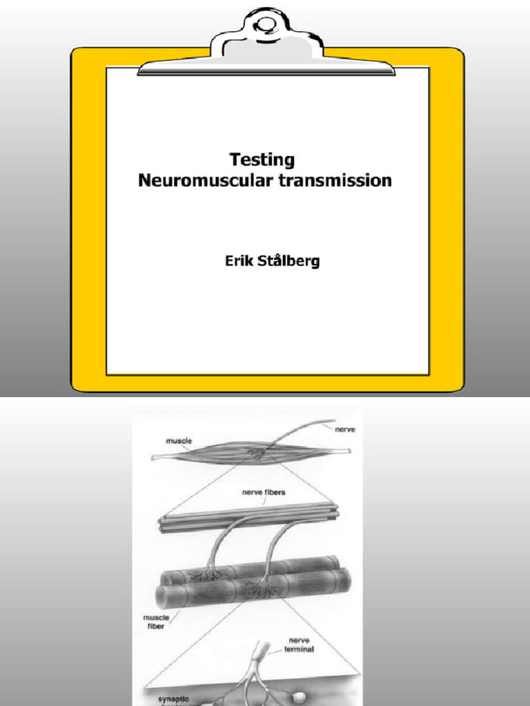 RNS by Erik Stalberg | PDF