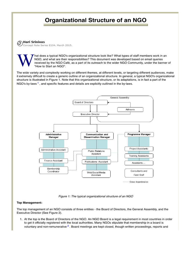 Organizational Structure of An NGO | PDF | Non Governmental ...