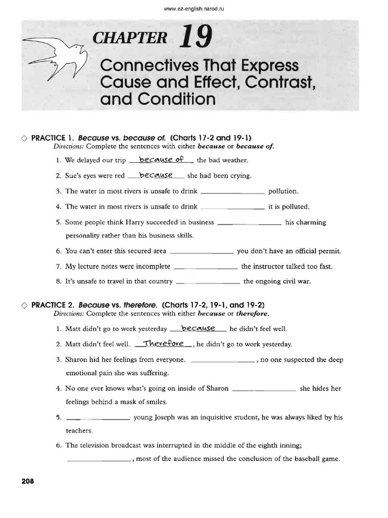 3rd Understanding and Using English Grammar Workbook - Third Edition | PDF