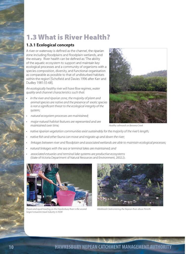 Archive What Is River Health | PDF | Water Resources | River