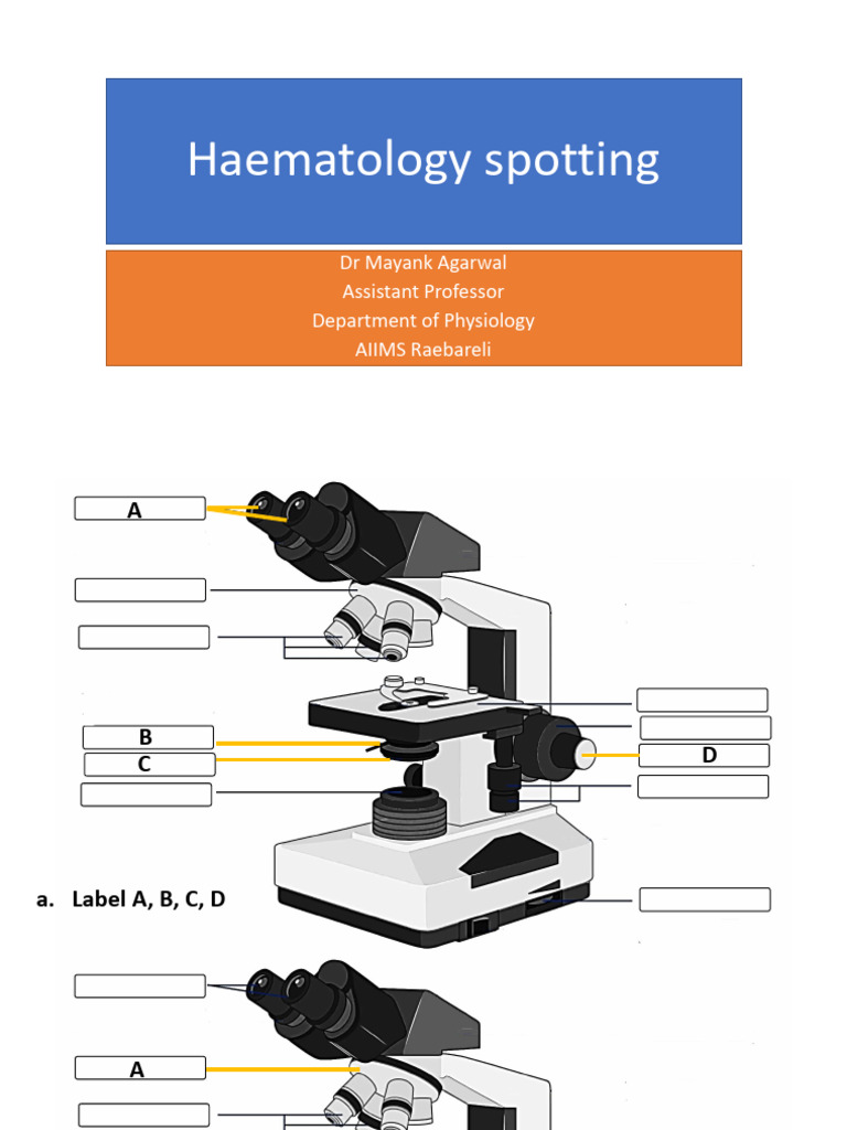 Spotting | PDF | White Blood Cell | Medical Tests