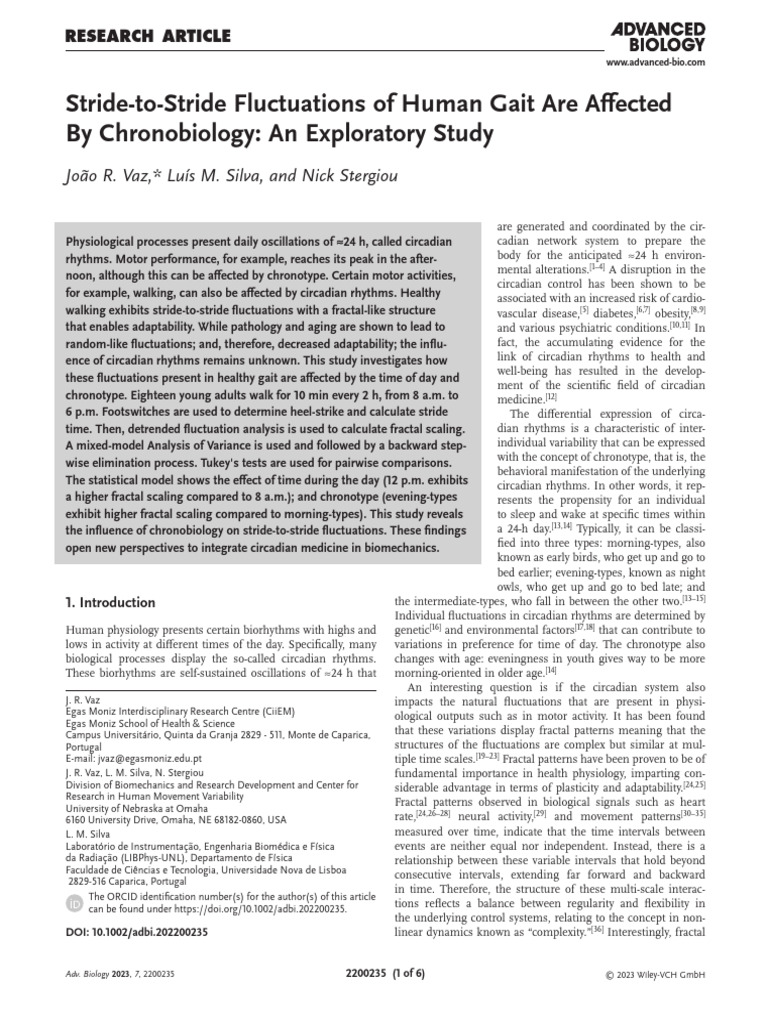 Stride-To-Stride Fluctuations of Human Gait Are Af | PDF | Circadian ...