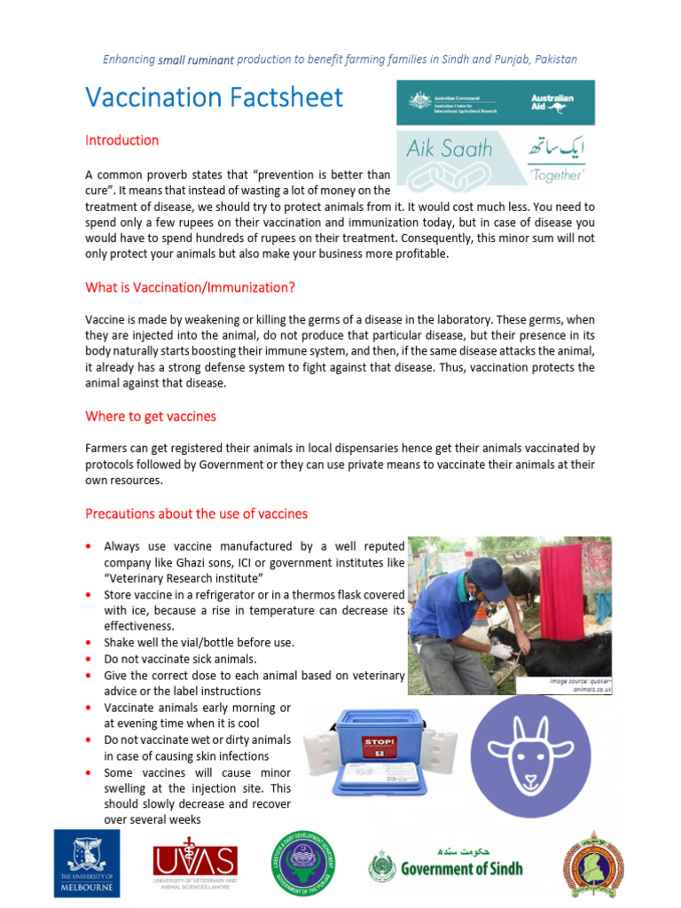 Vaccination Guide for Small Ruminants | PDF | Vaccines | Vaccination
