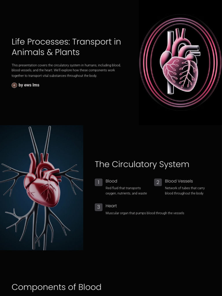 Life Processes Transport in Animals and Plants | PDF | Blood | Artery